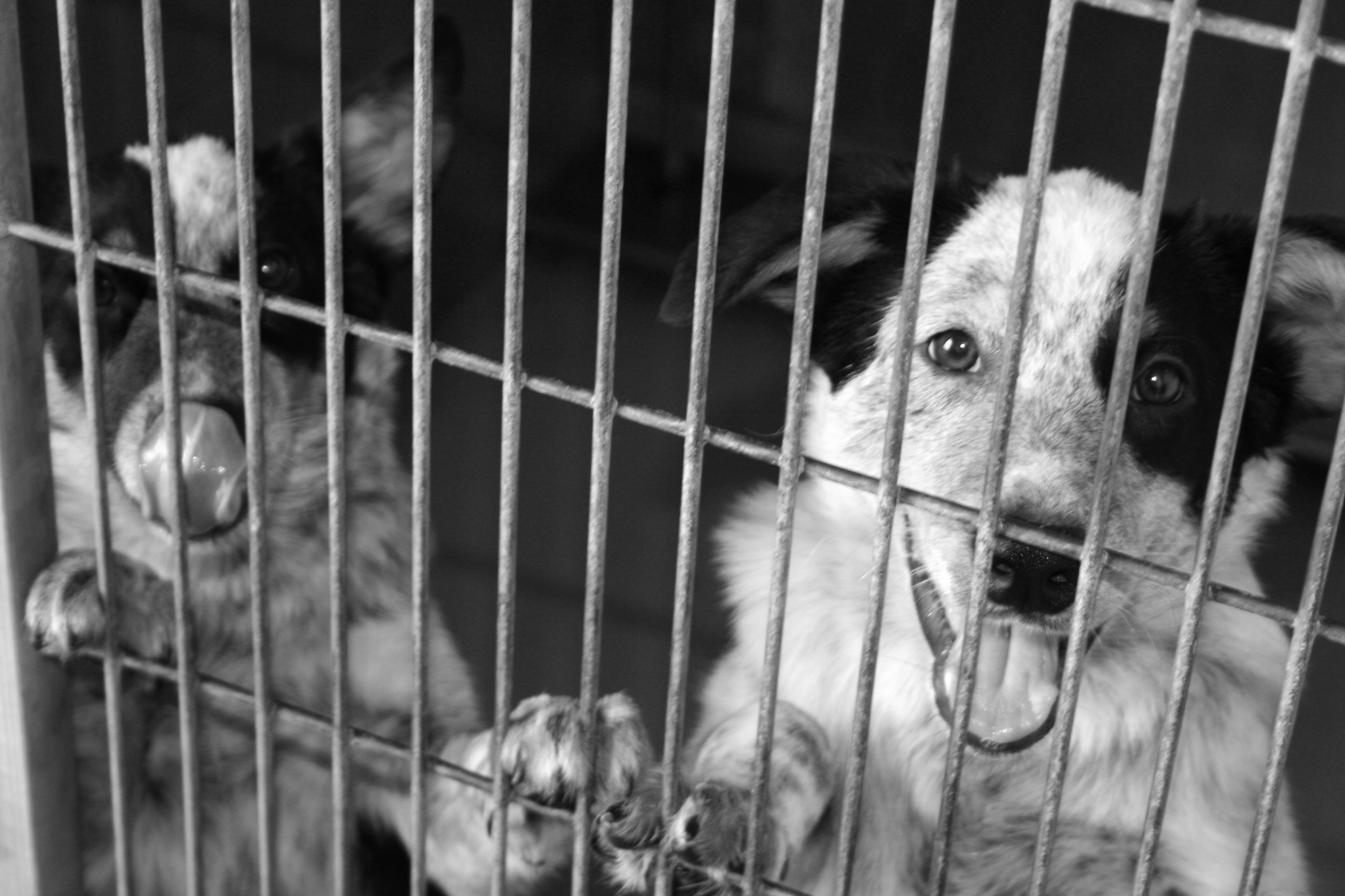 My Photography from The Missourian | Amber Webster