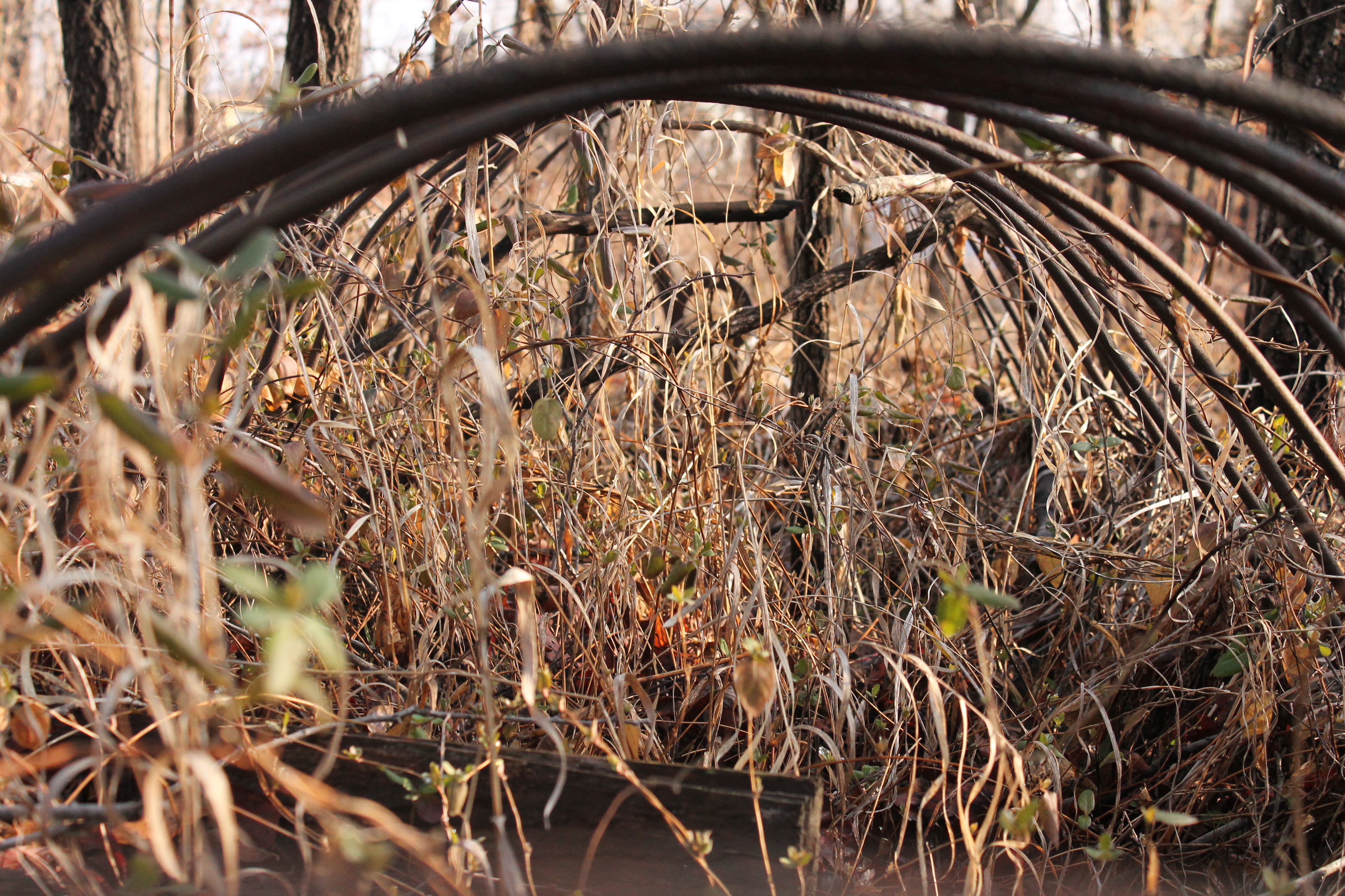 Class Photography | Amber Webster